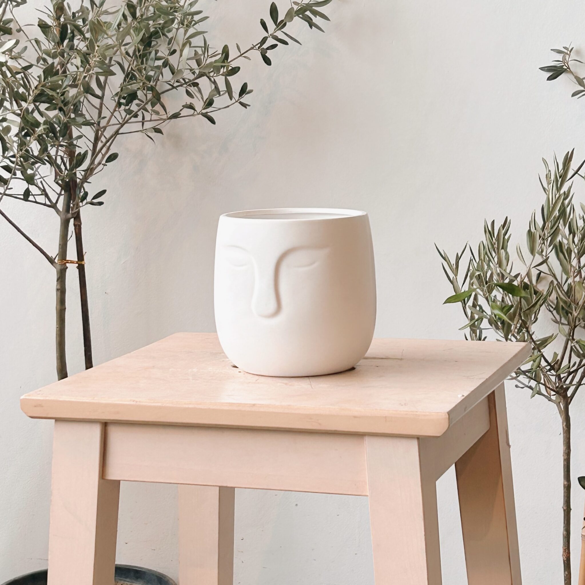 Face-pot - Plnt.co