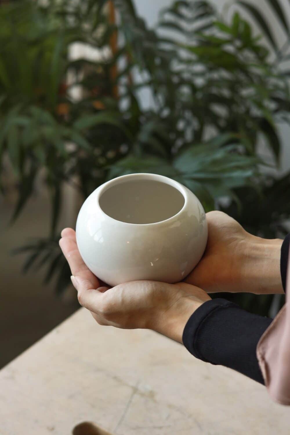 Mini Globe-pot - Plnt.co